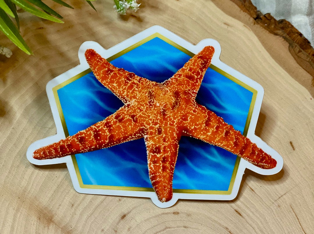 Starfish Sticker/ Ocean Animal Stickers/ Vinyl Stickers/ Animal ...