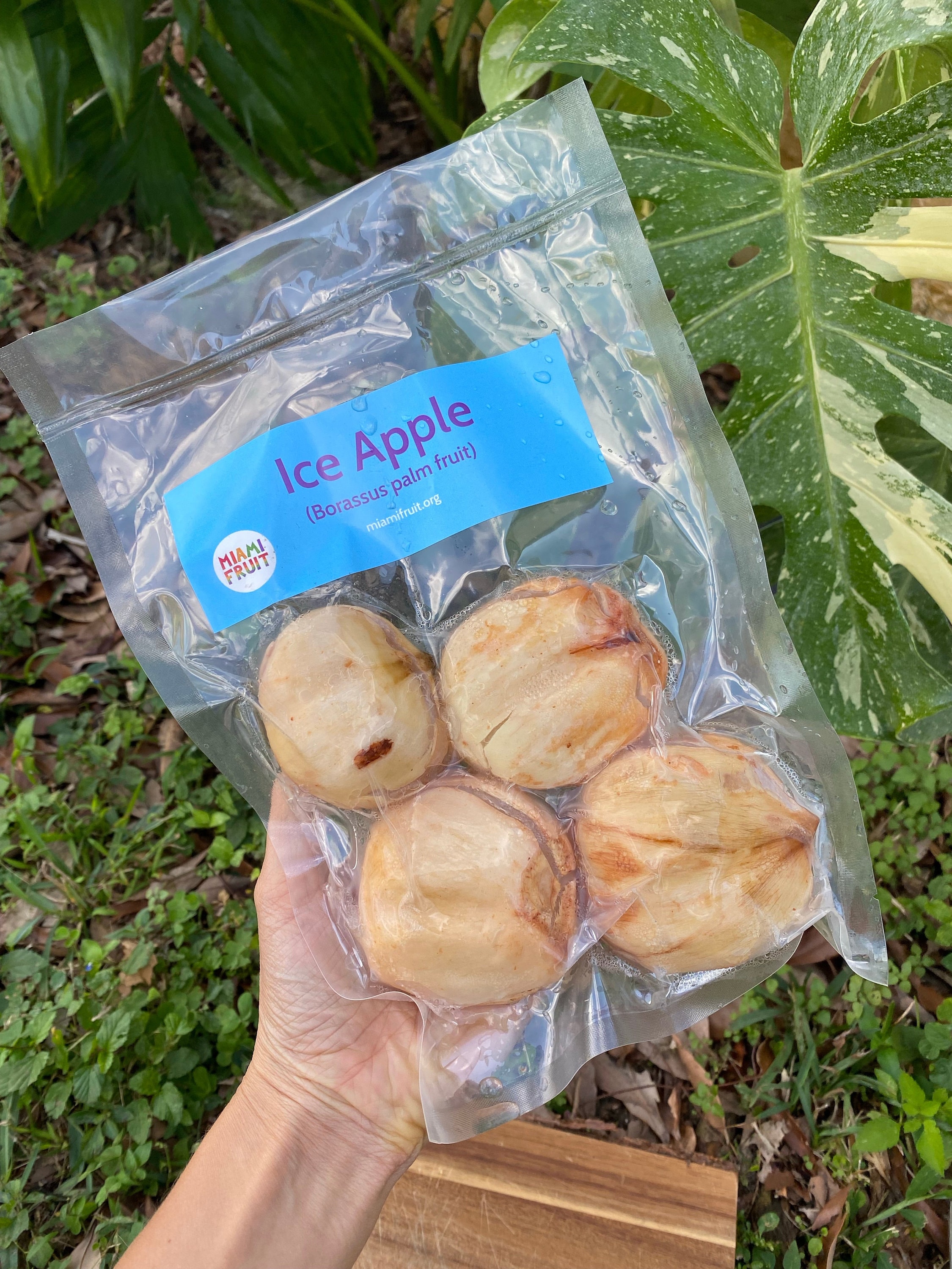 Ice Apple (toddy Palm) - Borassus Palm Packet *frozen* - Etsy