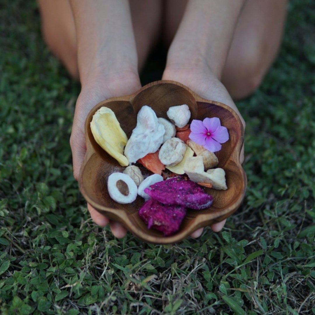 Freeze Dried Variety Pack - Etsy