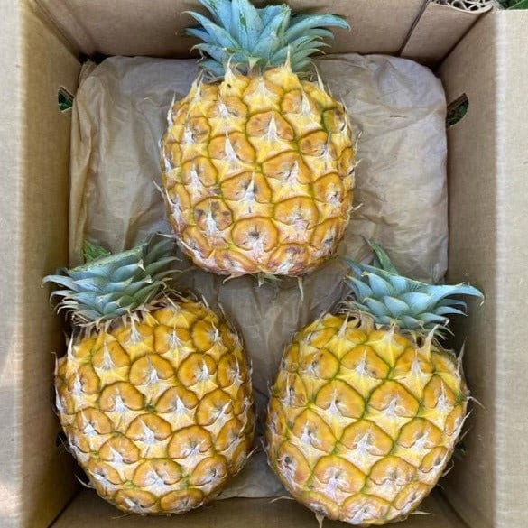 Pineapple - Etsy