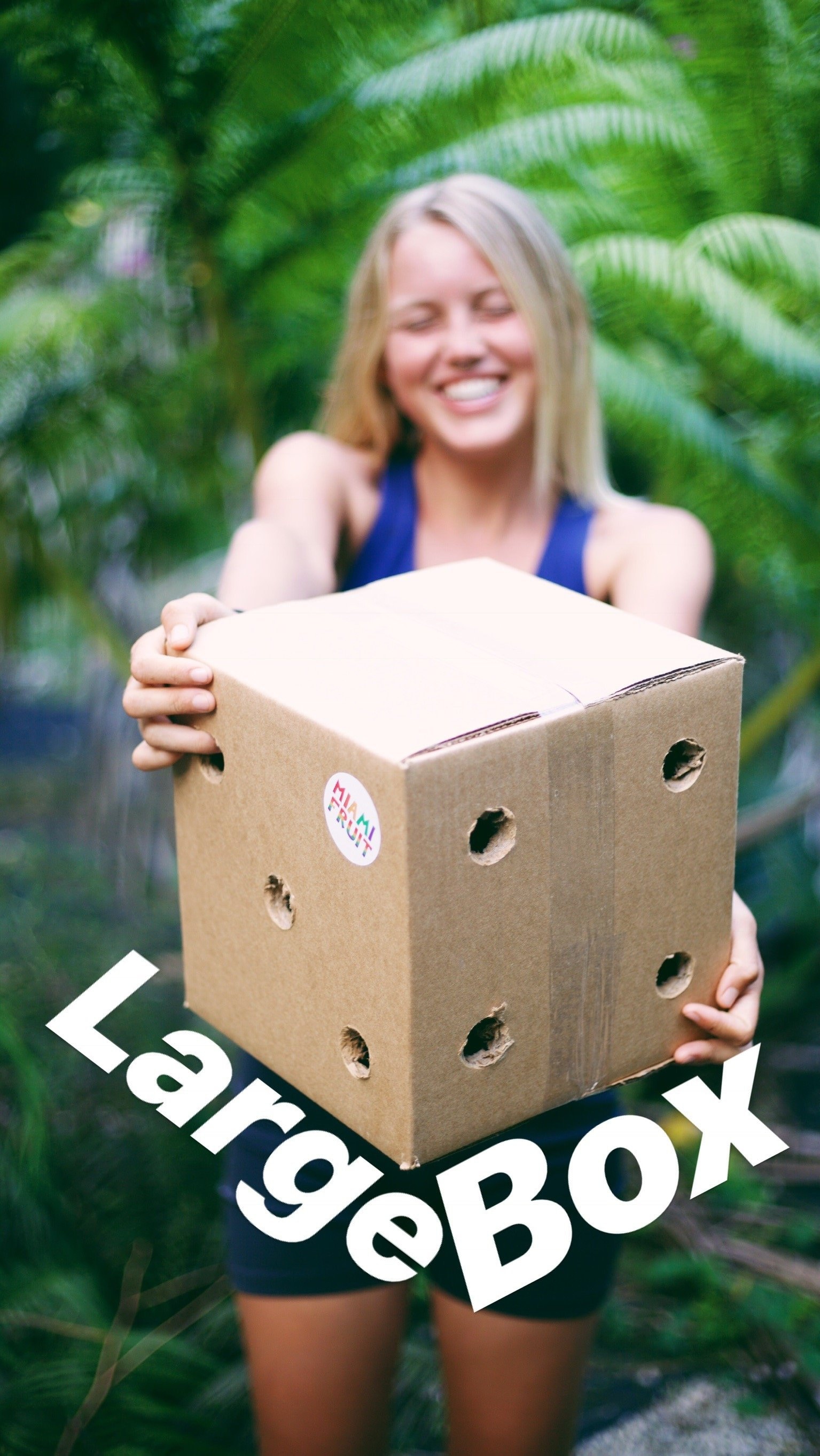 Cactus Fruit (prickly Pear) Box - Etsy