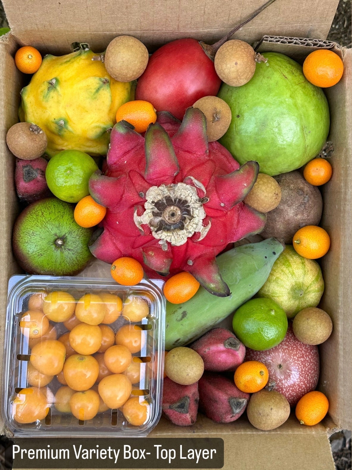 Premium Variety Box - Etsy