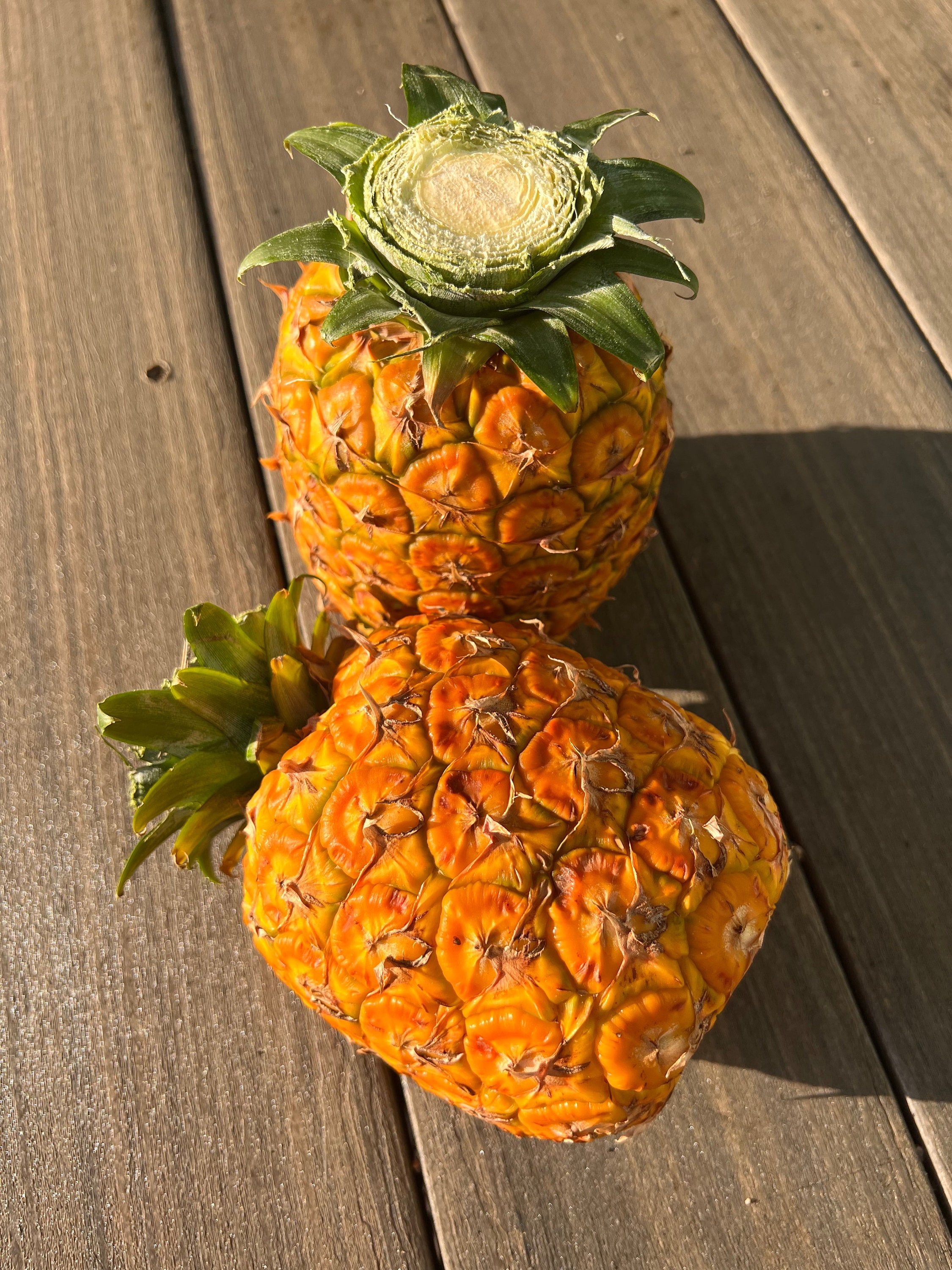 Pineapple - Etsy