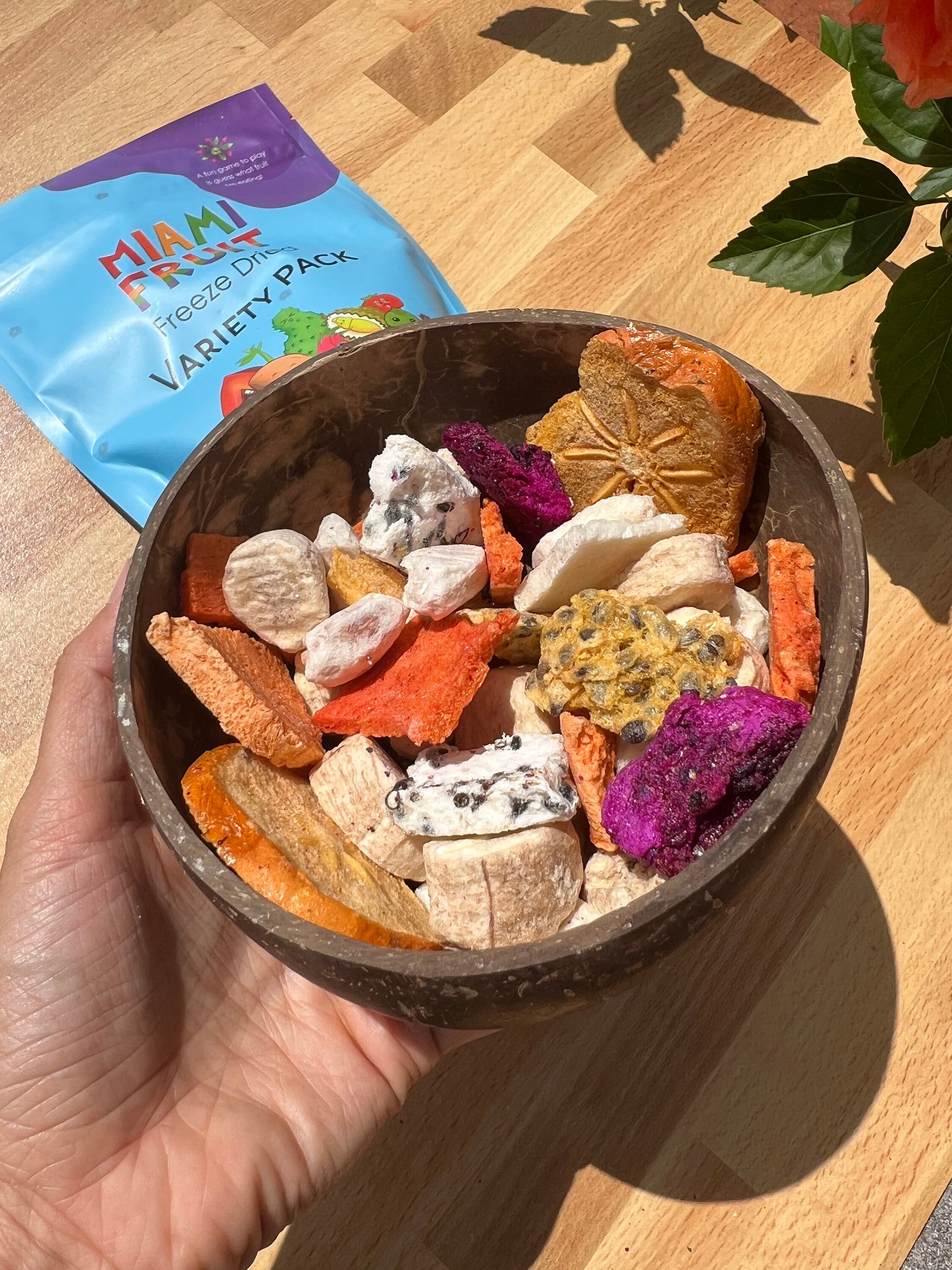 Freeze Dried Variety Pack - Etsy