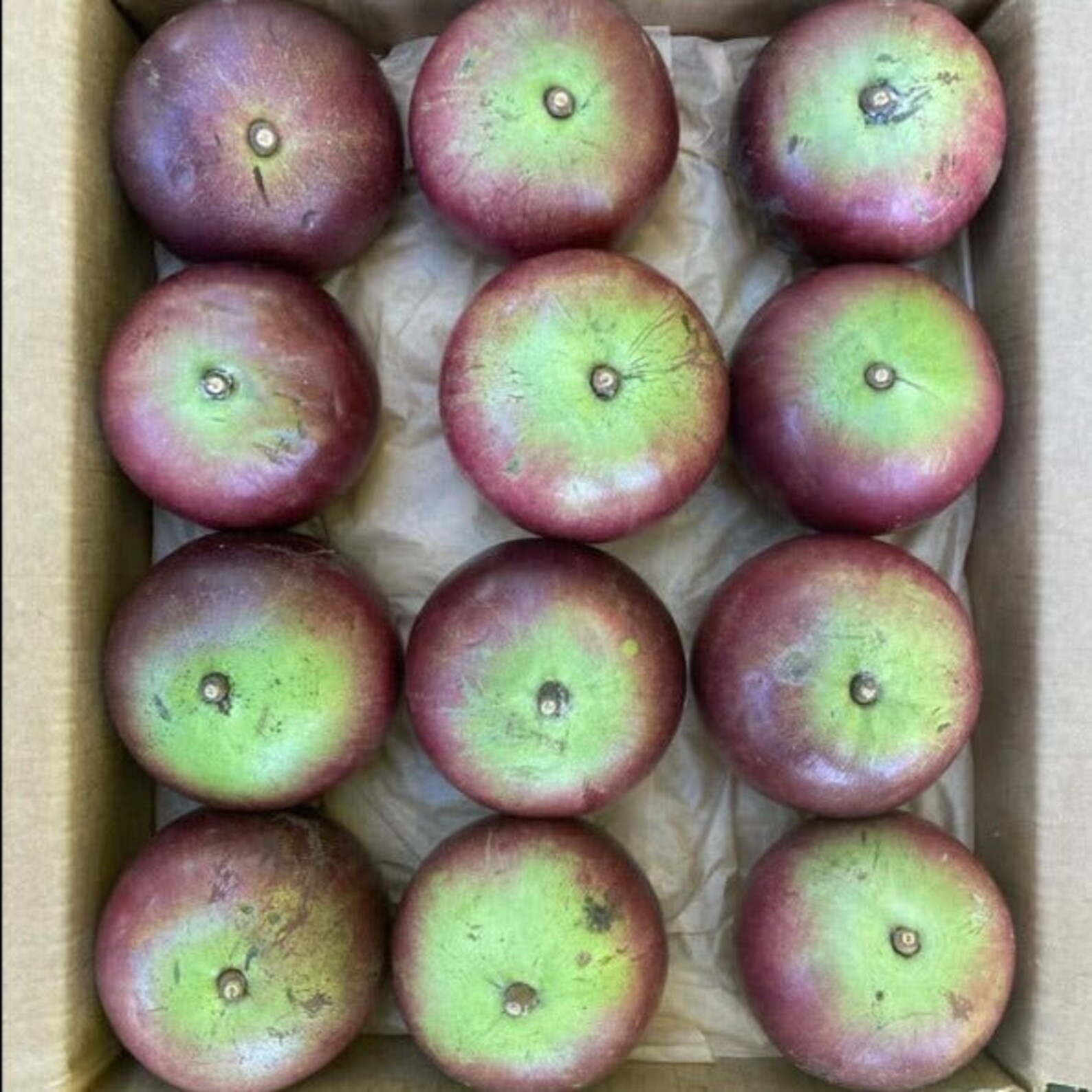 Star Apple - (caimito) - Etsy