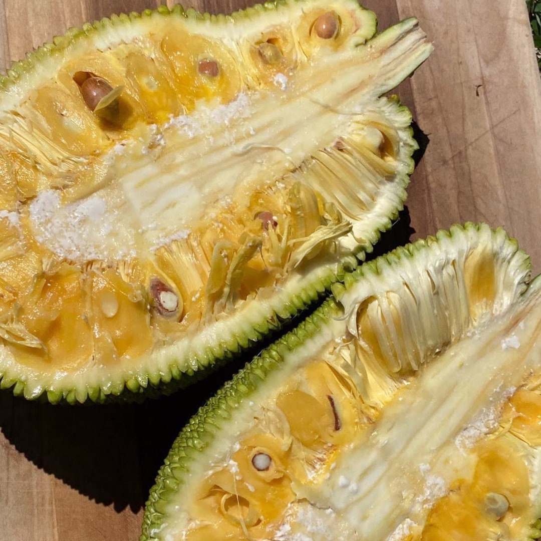 Jackfruit Box - Etsy