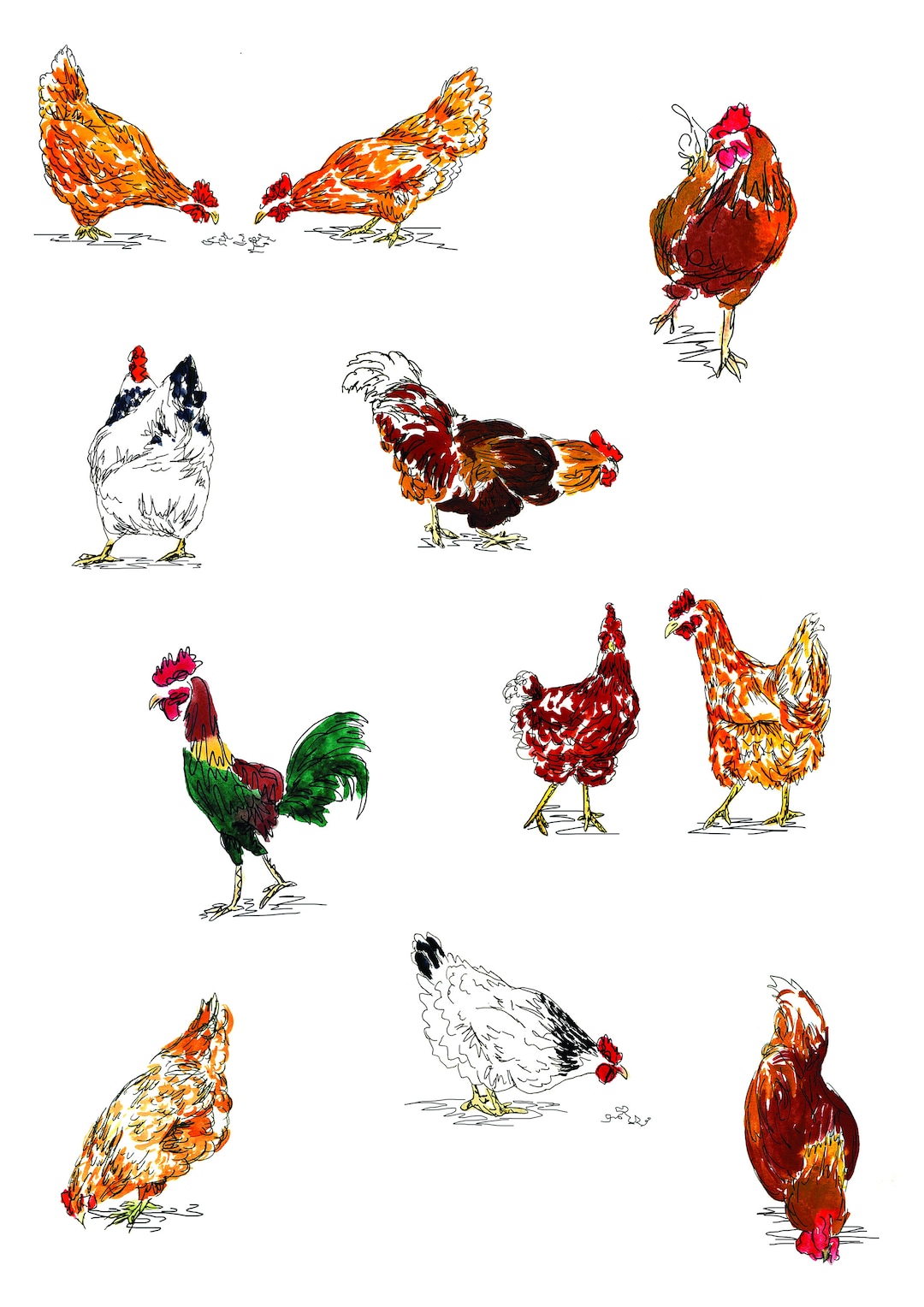 A5 or A4 Collection of Chickens Digital Print - Etsy