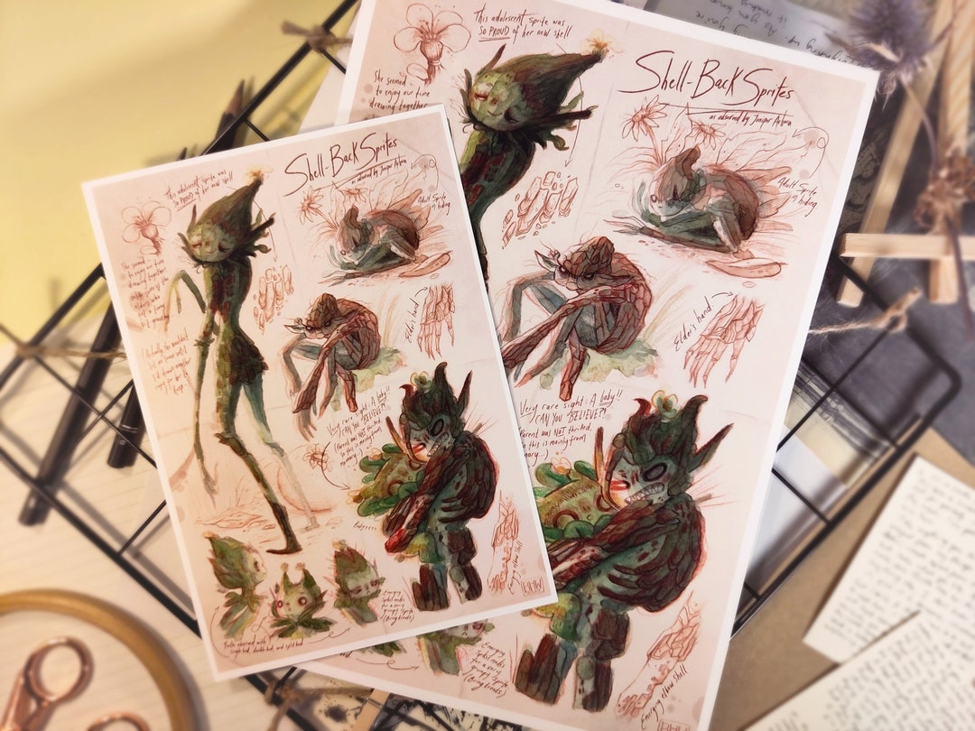 Shell-back Sprites | Art Print | Faerie Field Guide - Etsy