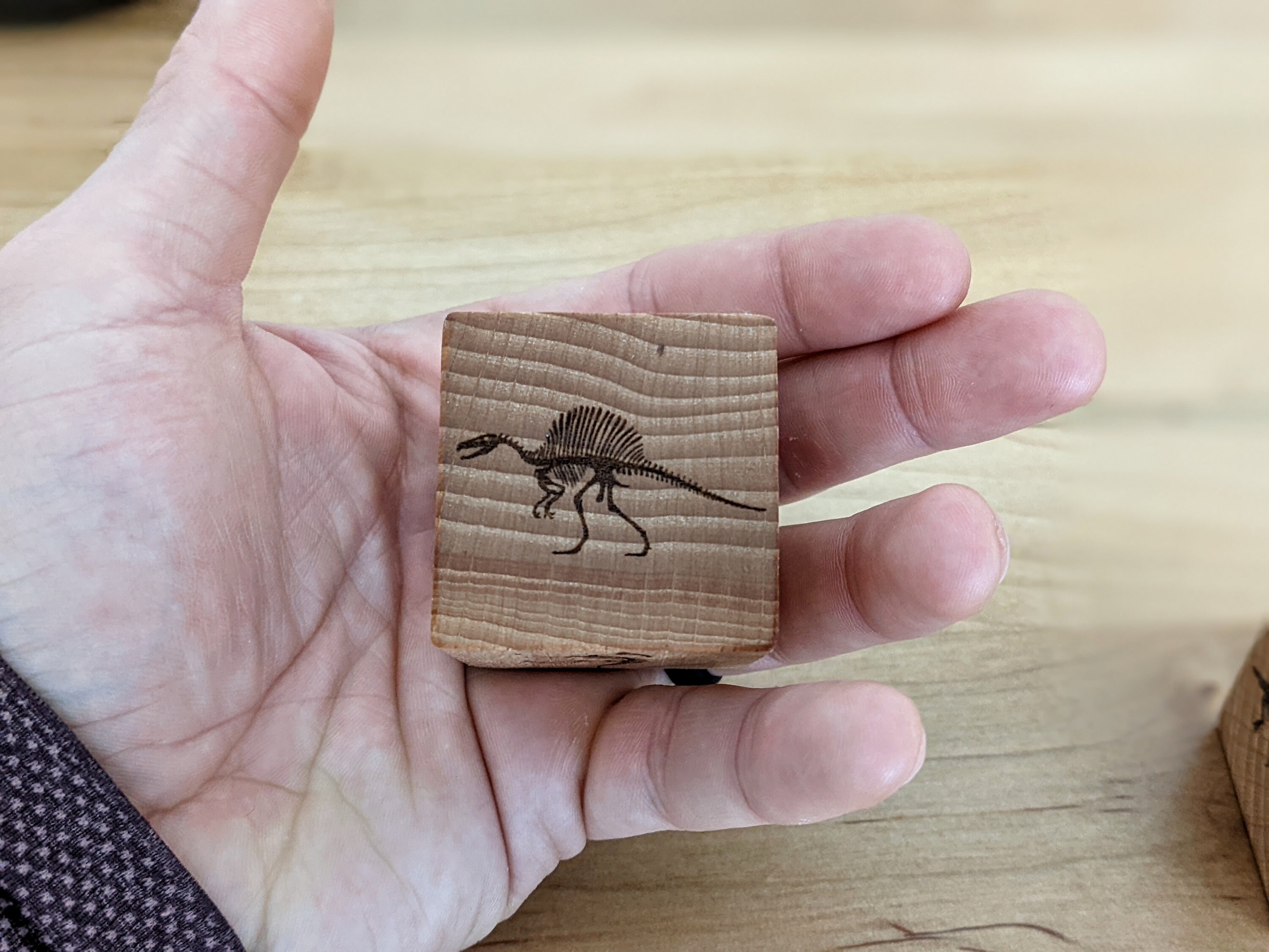 Dinosaur Kids Blocks T-rex Triceratops Stegosaurus - Etsy