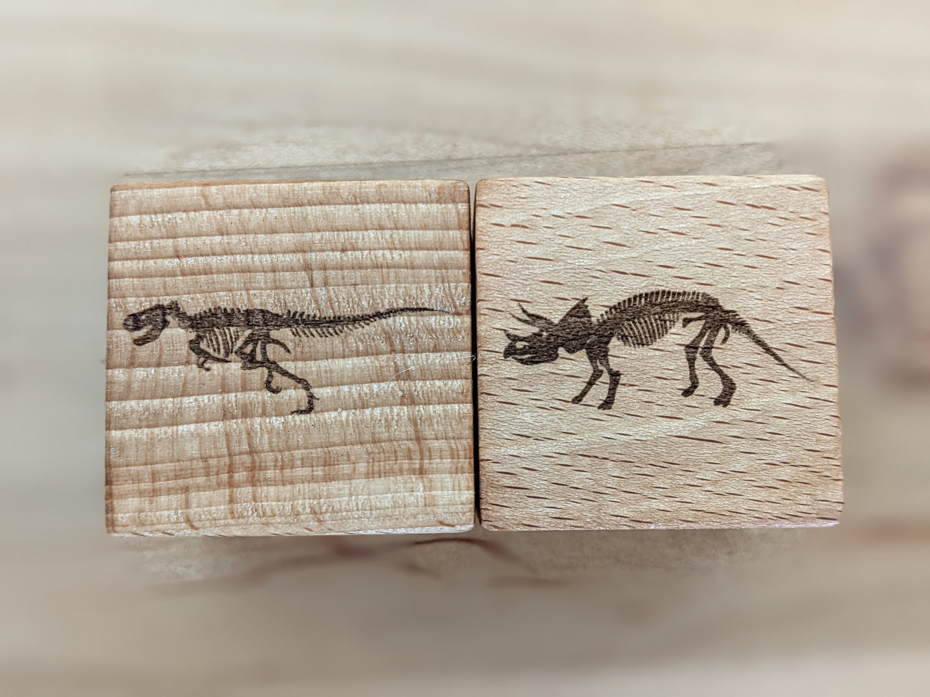 Dinosaur Kids Blocks T-rex Triceratops Stegosaurus - Etsy