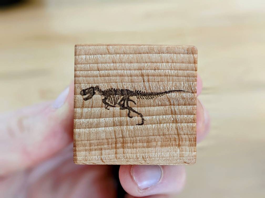 Dinosaur Kids Blocks T-rex Triceratops Stegosaurus - Etsy