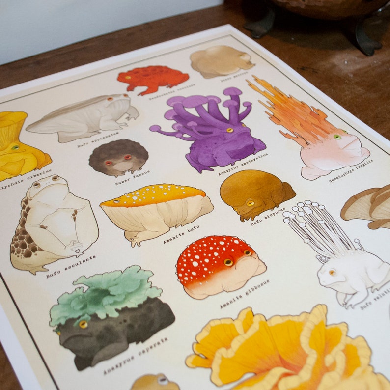 Toadstools 11x14 Art Print - Etsy