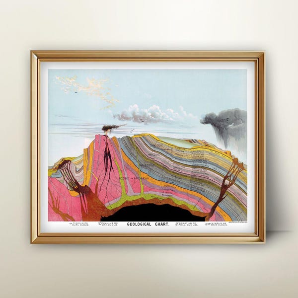 Scientific Illustration Prints - Etsy