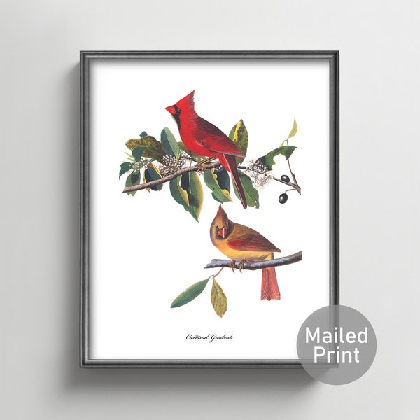 Cardinal Art - Etsy