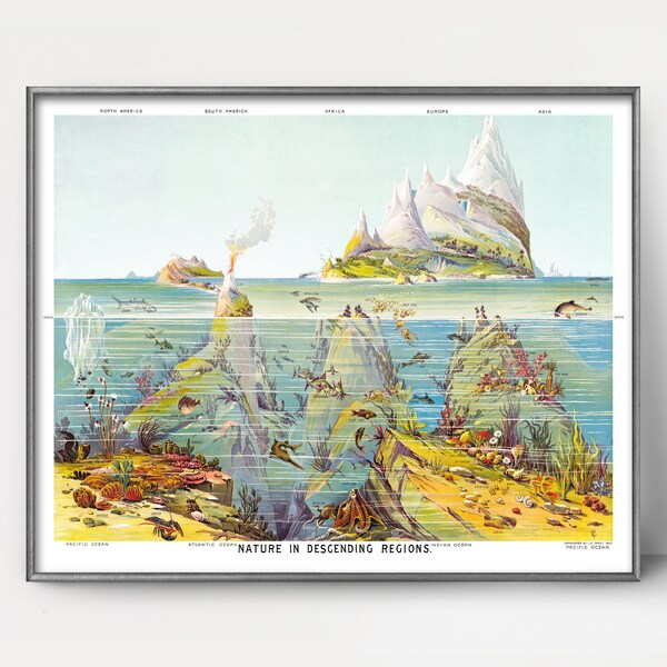 Scientific Illustration Prints - Etsy