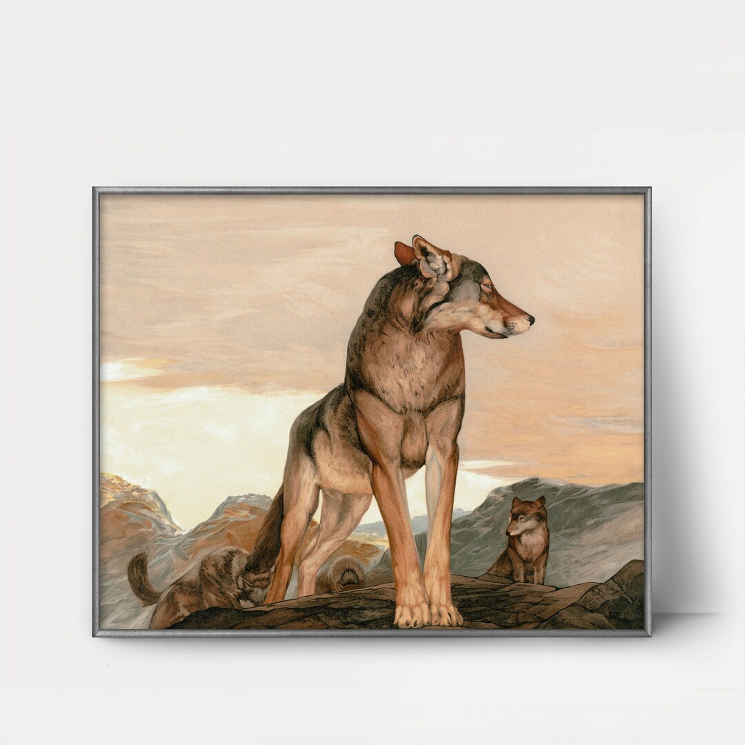 1890s Lone Wolf Art Antique Wolf Painting Wolf Print, Vintage Boho ...