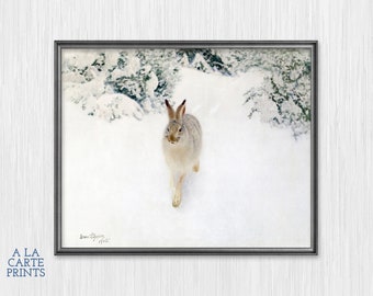 Antique Rabbit Print | Etsy