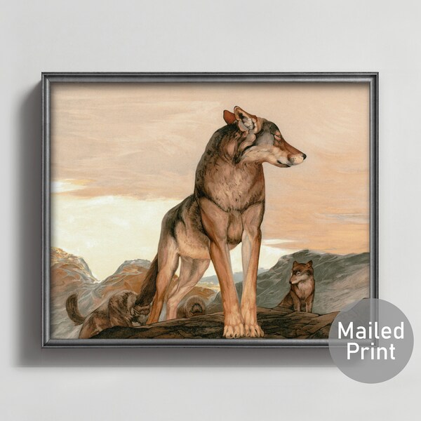 Antique Wolf Print - Etsy