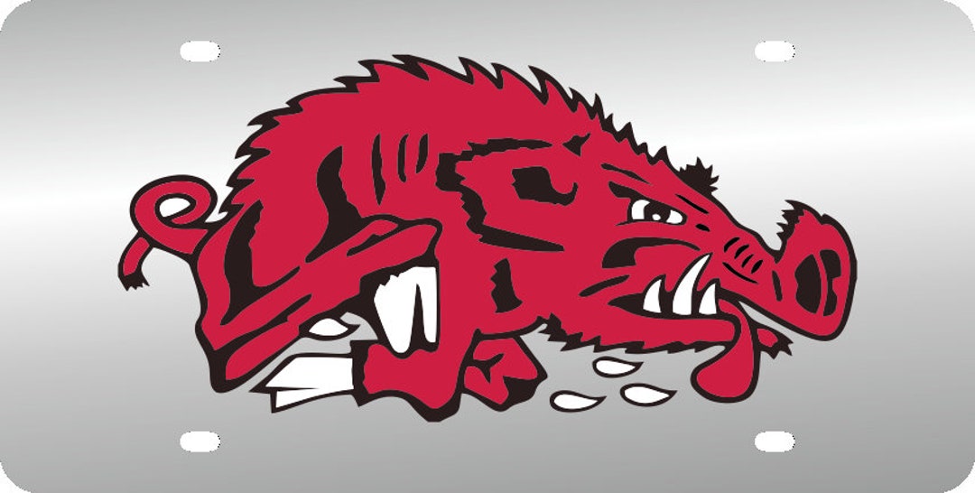 Custom Mirror License Plate - Etsy