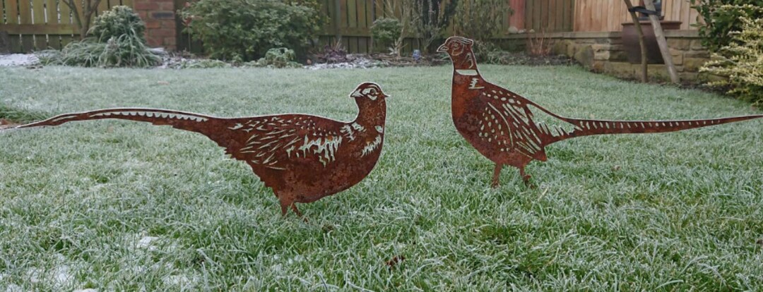 Laser Cut Rusty Metal Pheasant Garden Art. Outdoor Wildlife Decor - Etsy