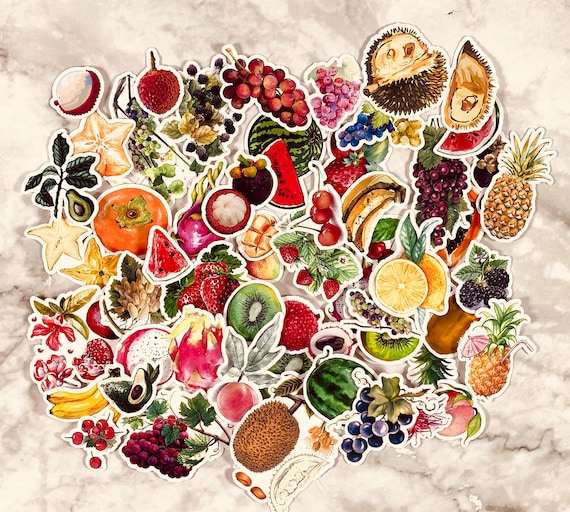 49pcs Cute Fruit Stickers Bujo Journal Stickers Strawberry - Etsy