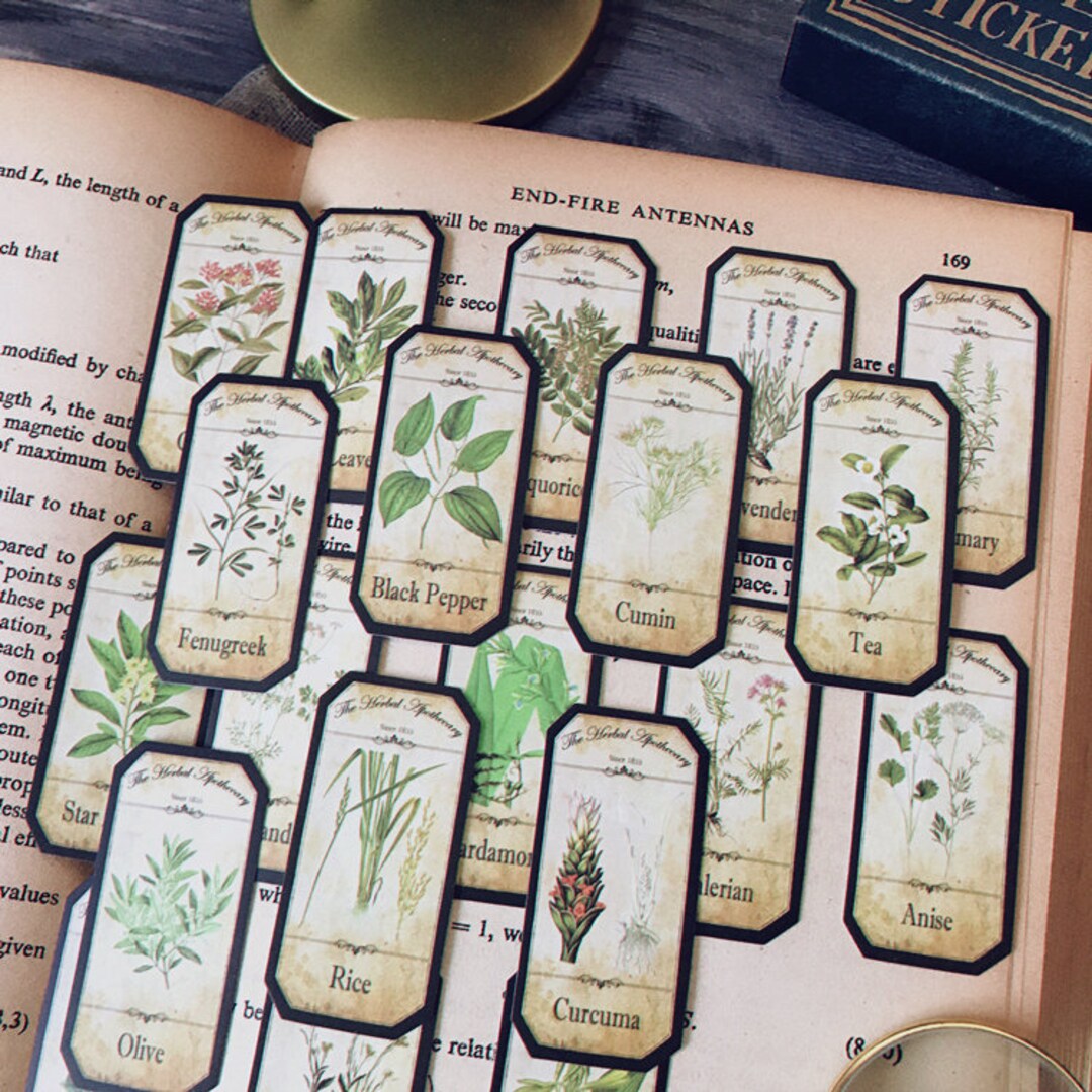 20pcs Vintage Herb Spice Plant Stickers, Garden Botanical Medicinal ...