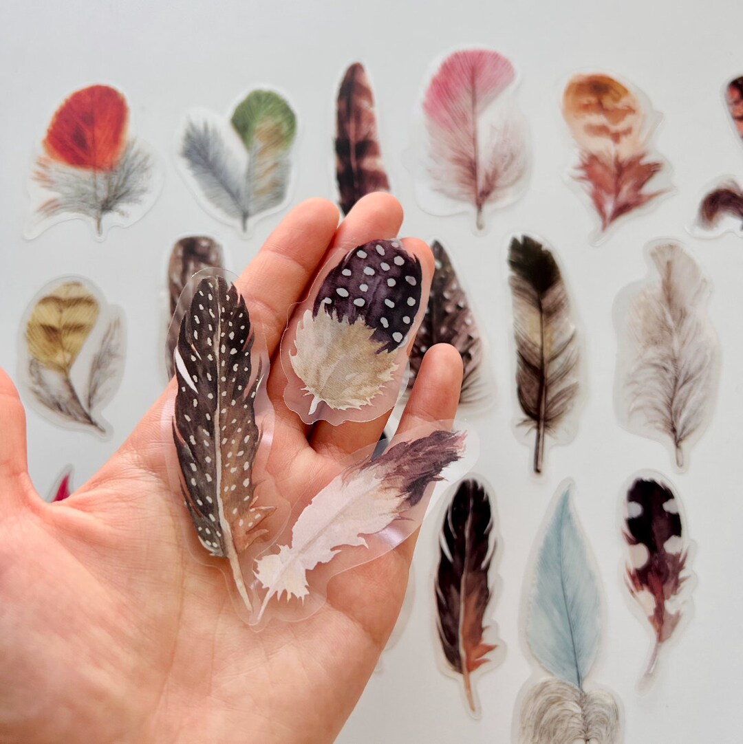 40pcs Clear Vintage Feather Die-cutstickers, Beautiful Feather Sticker ...