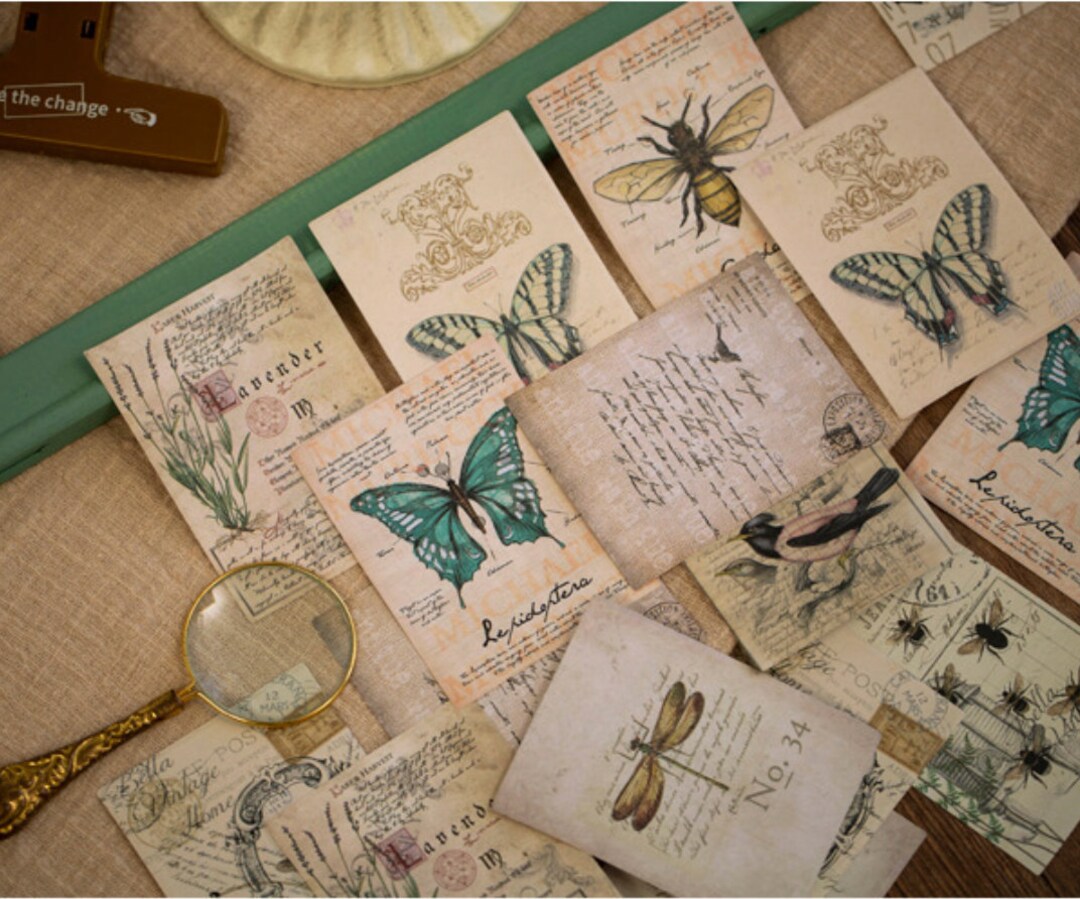 Small Insect Ephemera Paper Kit 30pcs, Non-adhesive Reproduction ...