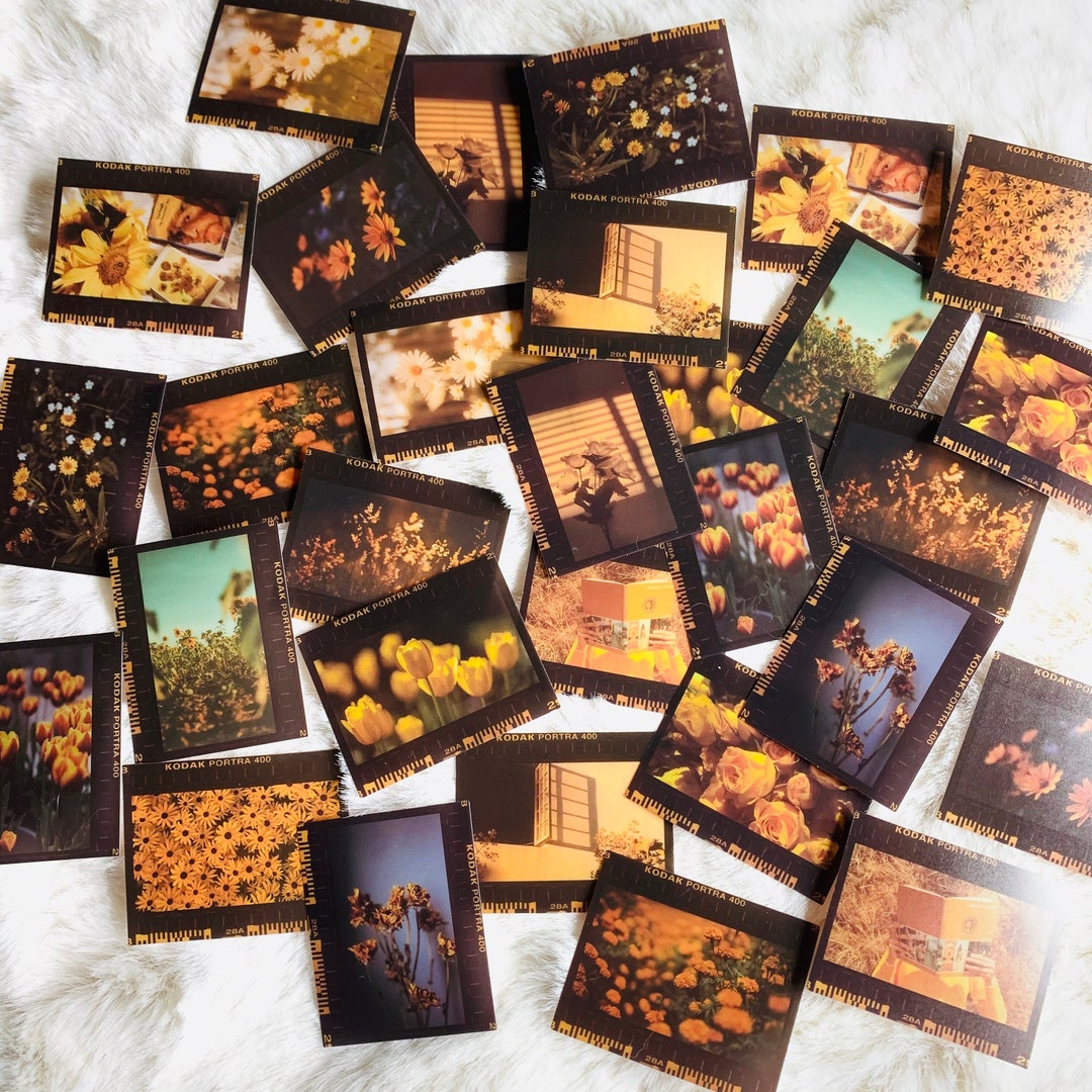 Flower at Sunset Film Strip Photo Sticker 30pcs, Translucent PET Film ...