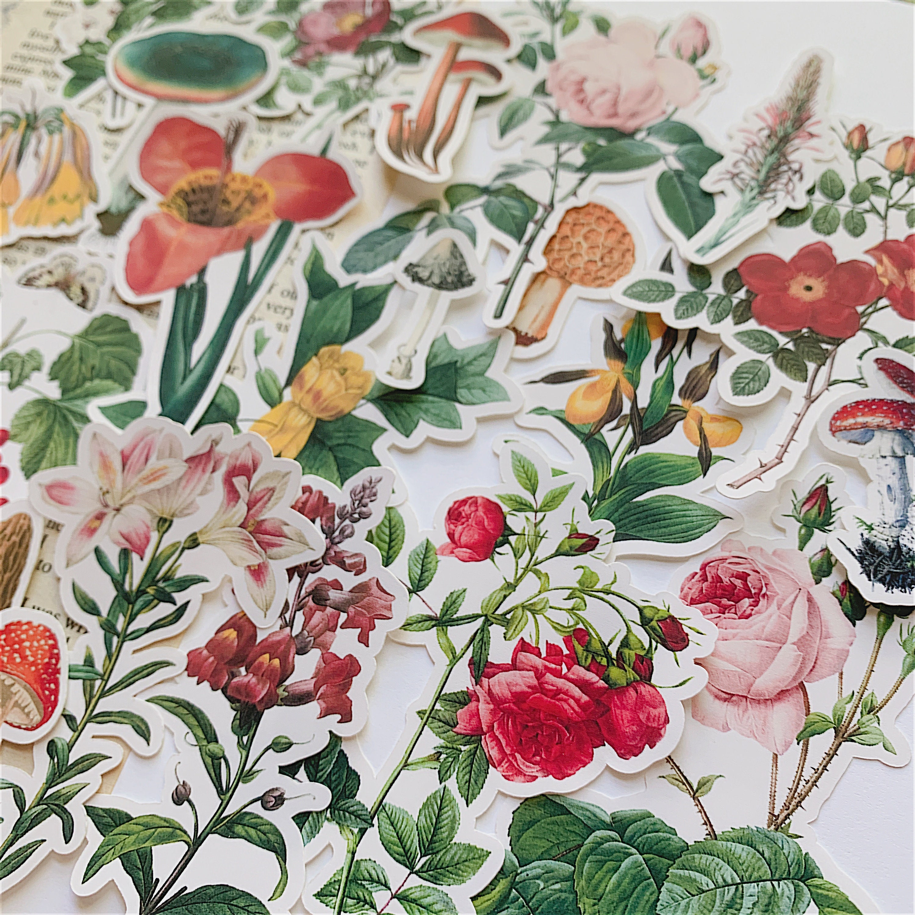 41pcs Botanical Flower Stickers Vintage Vellum Stickers Flower Sticker ...