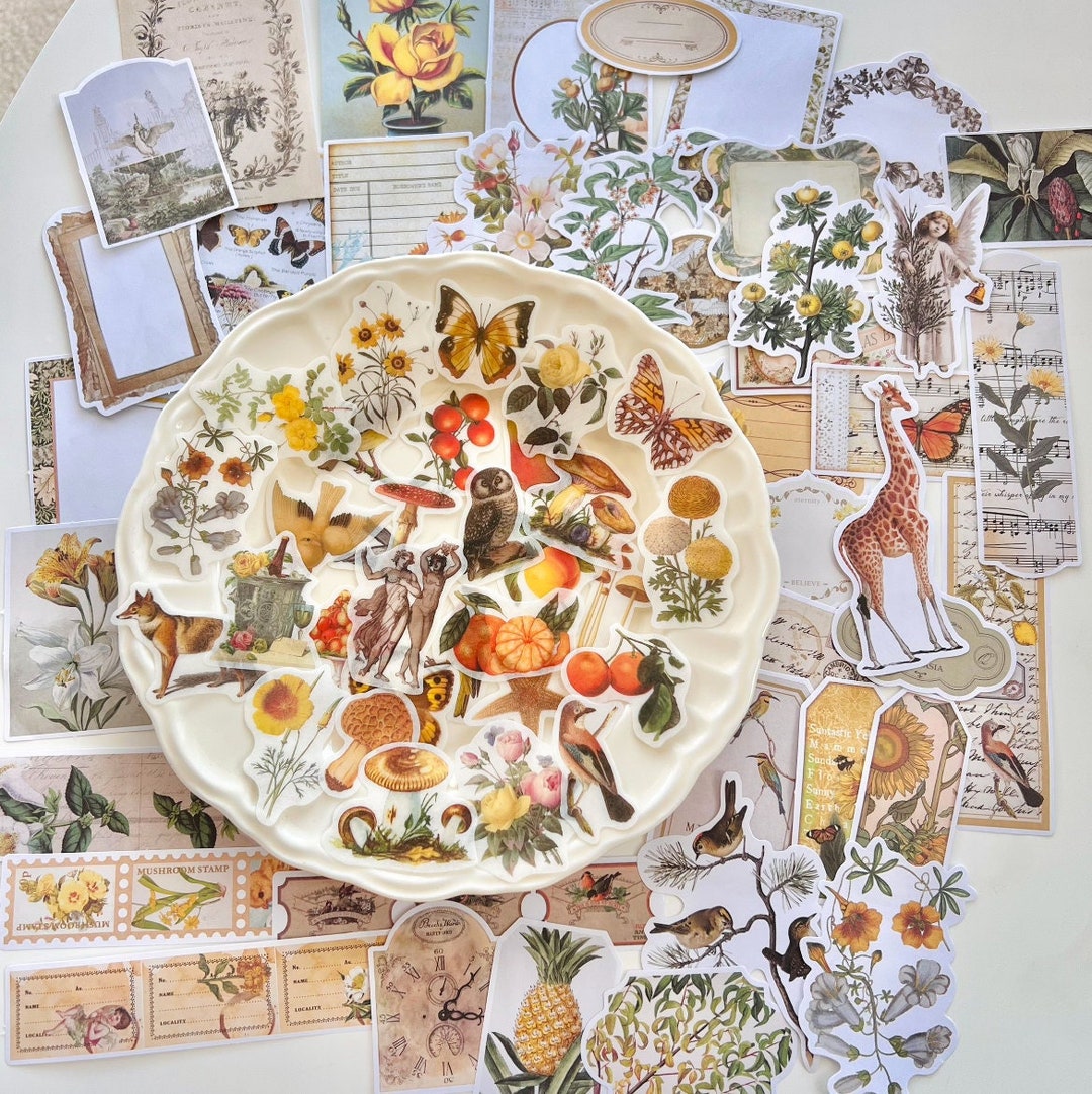 200PCS HUGE Ephemeral Junk Journal Pack, Nature Yellow Theme, Stickers ...