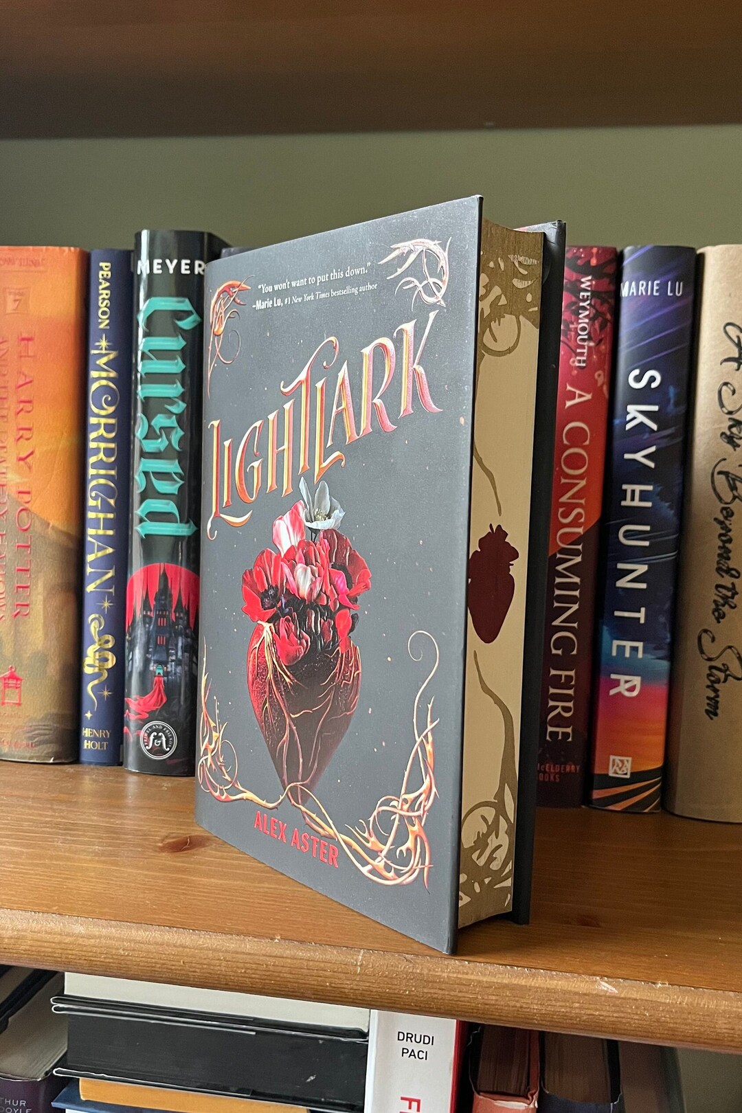 Lightlark, Alex Aster, Stenciled Book, Sprayed Edges - Etsy Australia