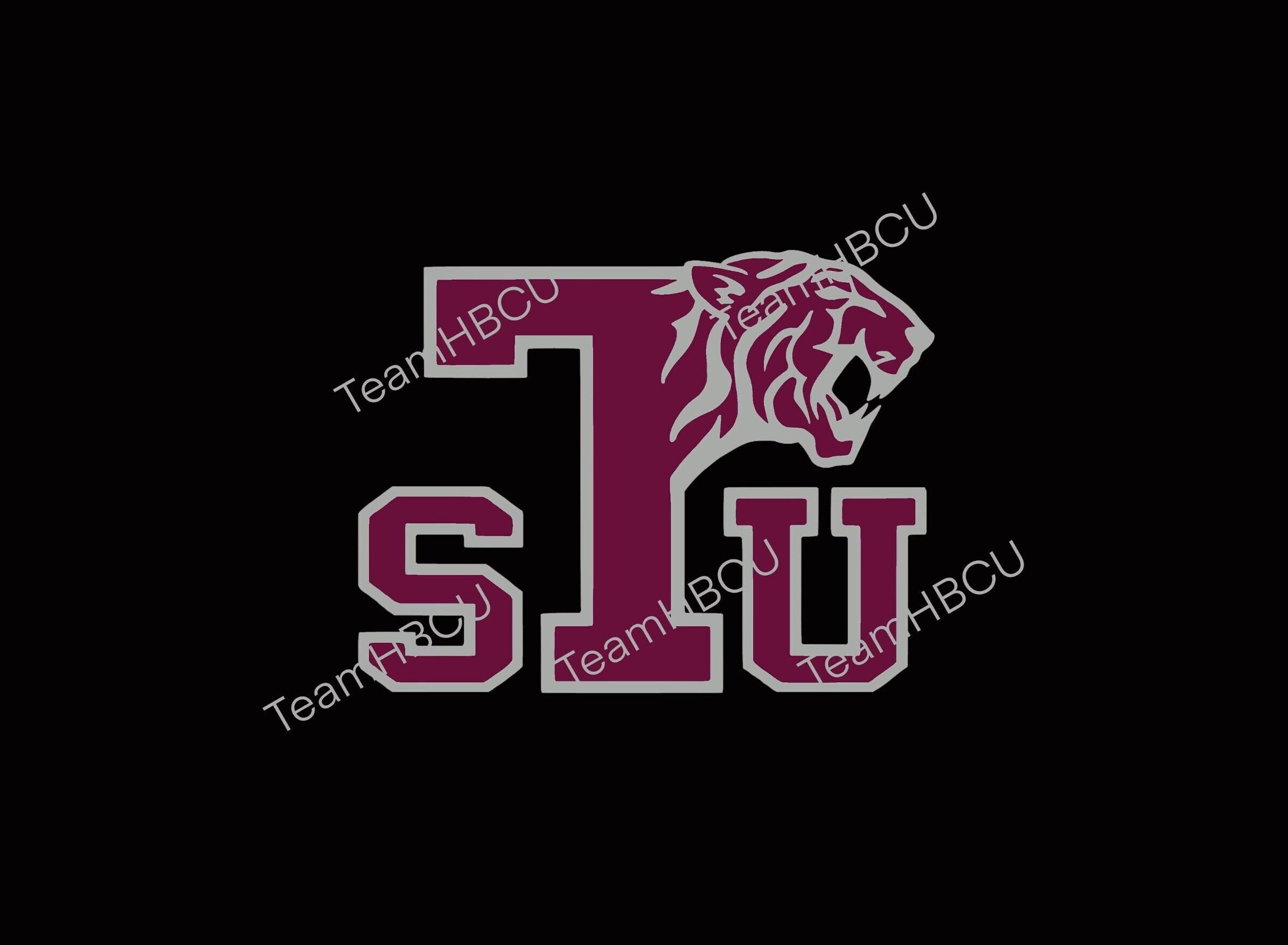 Texas Southern Logo Texas Southern Tigers 40'' X 10'' Logo Sign