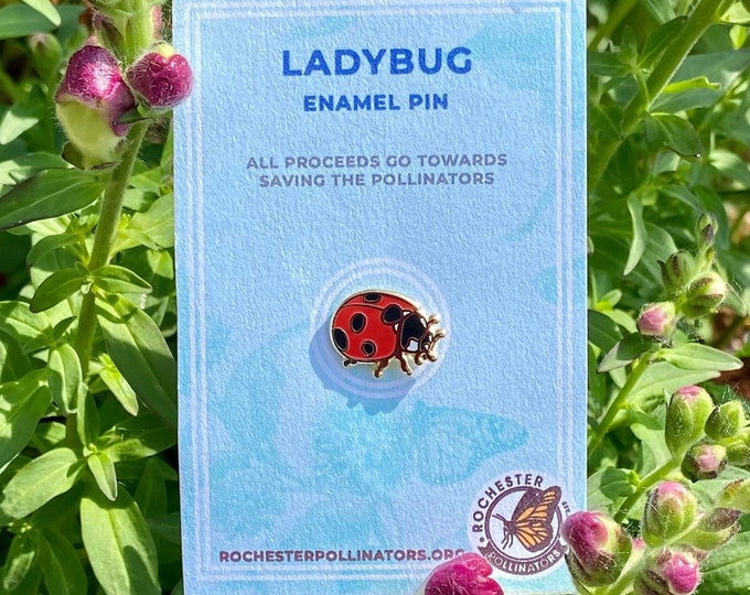 Ladybug Enamel Pin - Etsy