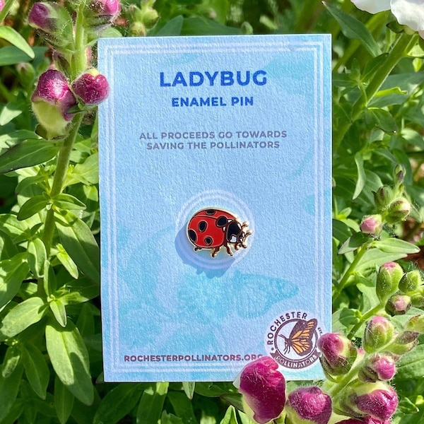 Ladybug Enamel Pin - Etsy