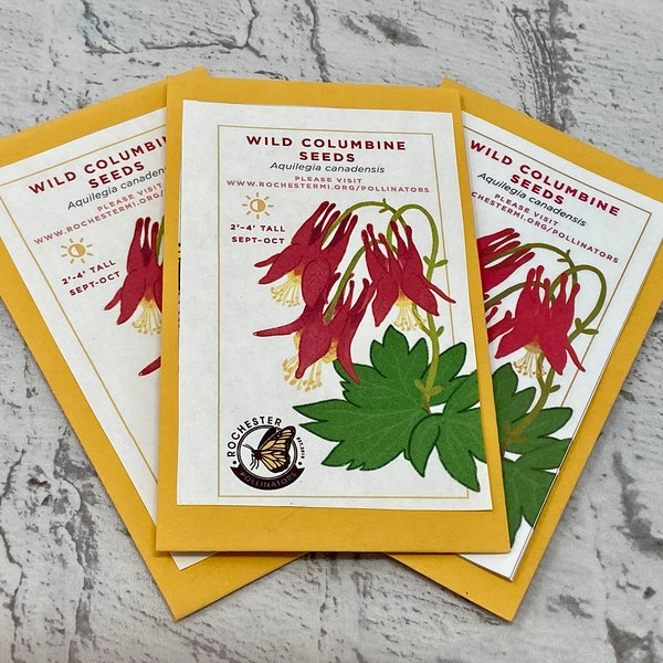 Columbine Seeds - Etsy