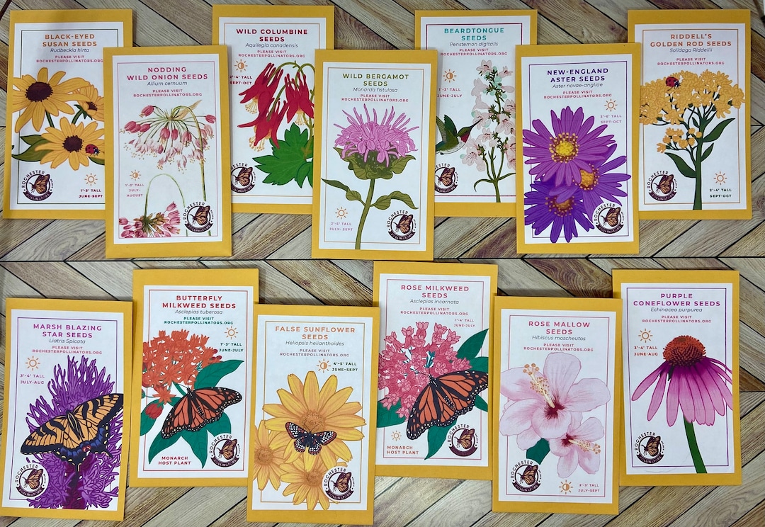 Michigan Native Wildflower Seed Packets: Pollinator Garden - Etsy