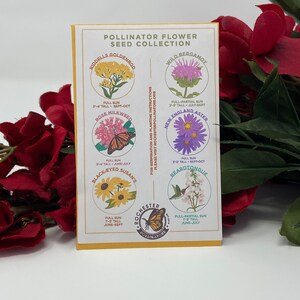 Pollinator Garden Flower Seed Mix, Michigan Native Plant Seeds, Midwest ...