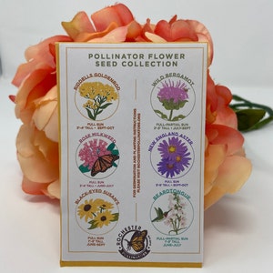 Pollinator Garden Flower Seed Mix, Michigan Native Plant Seeds, Midwest ...