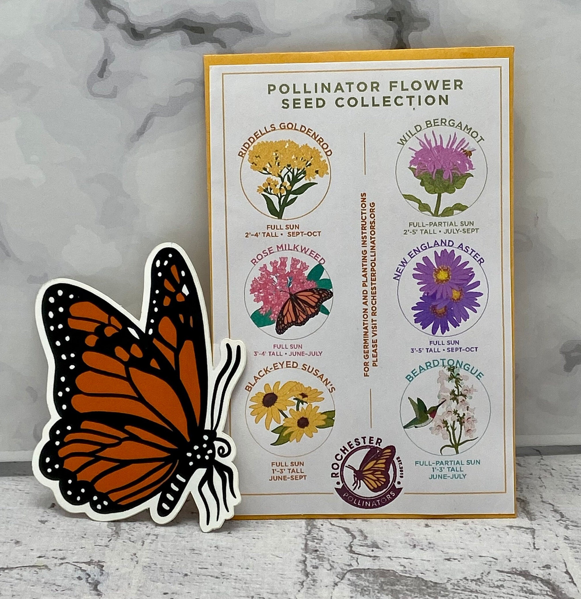 Pollinator Garden Flower Seed Mix, Michigan Native Plant Seeds, Midwest ...