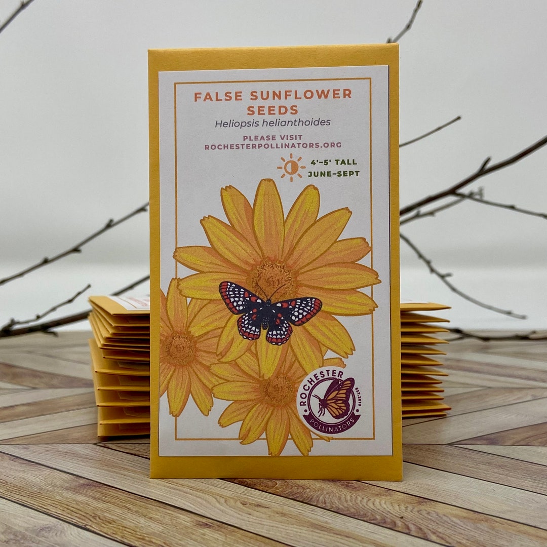 False Sunflower Seeds: Michigan Native Heliopsis, Pollinator Garden - Etsy