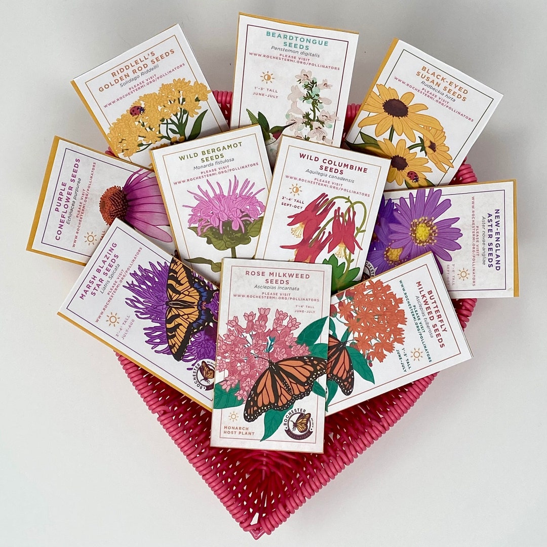 Michigan Native Plant Seeds, Pollinator Garden Seeds, Perennial Flower ...