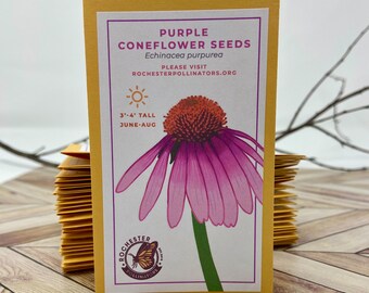 Pollinator Garden Flower Seed Mix, Michigan Native Plant Seeds, Midwest ...