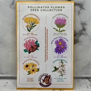 Pollinator Garden Flower Seed Mix, Michigan Native Plant Seeds, Midwest ...
