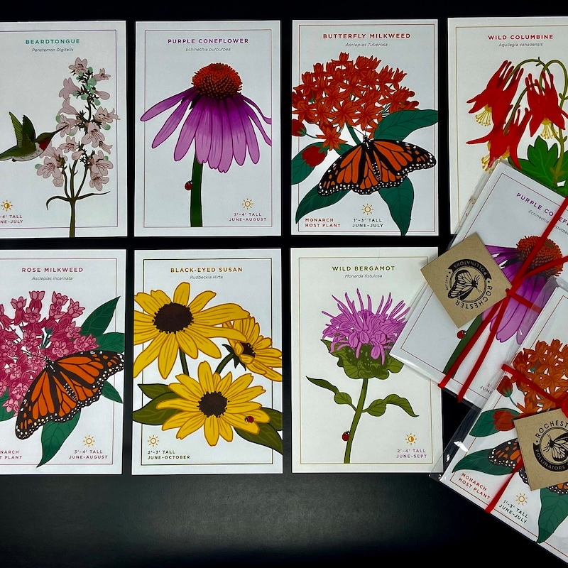 Wildflower Postcard Set - Etsy