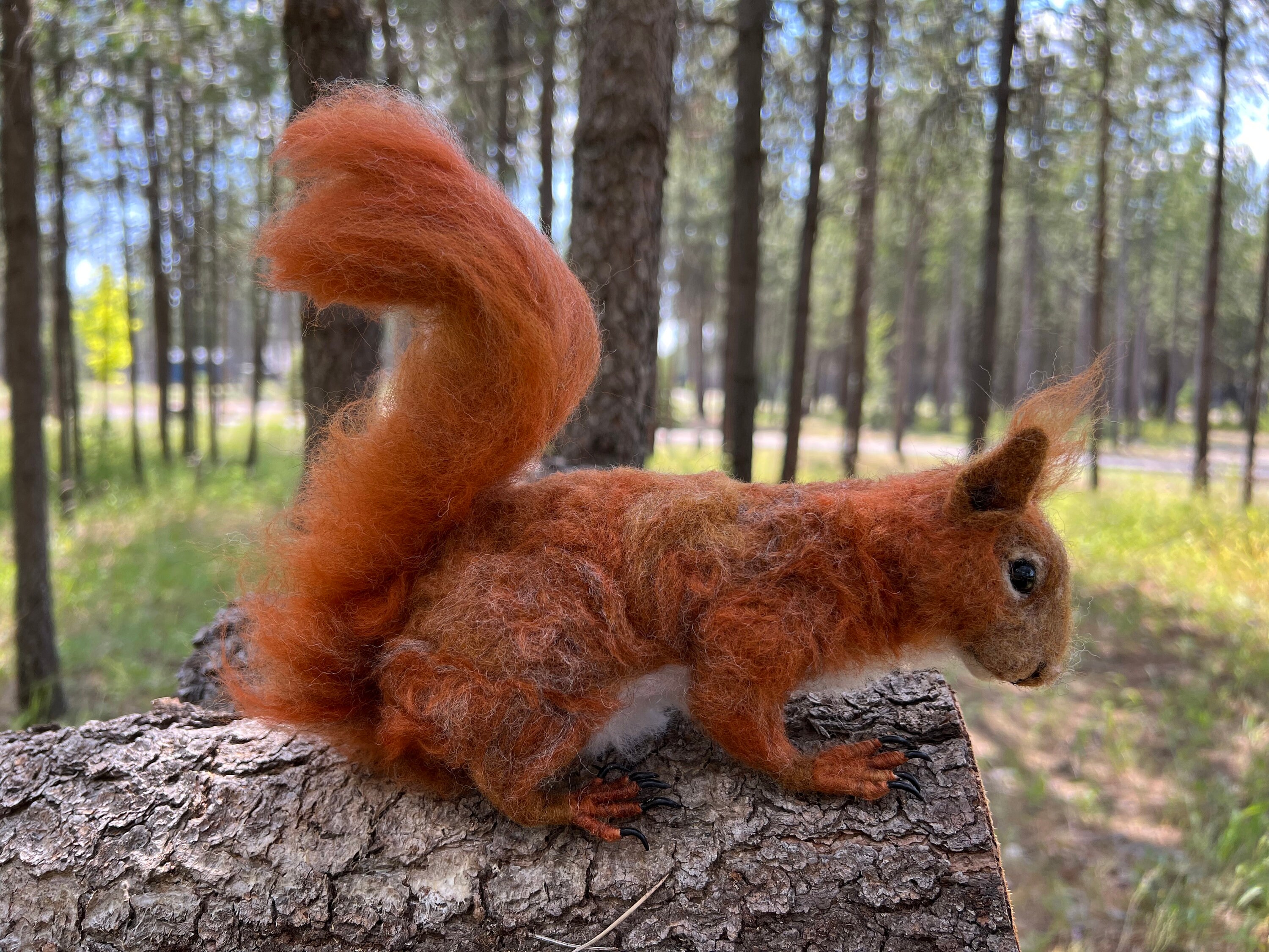 Needle Felted Red Squirrel - Etsy