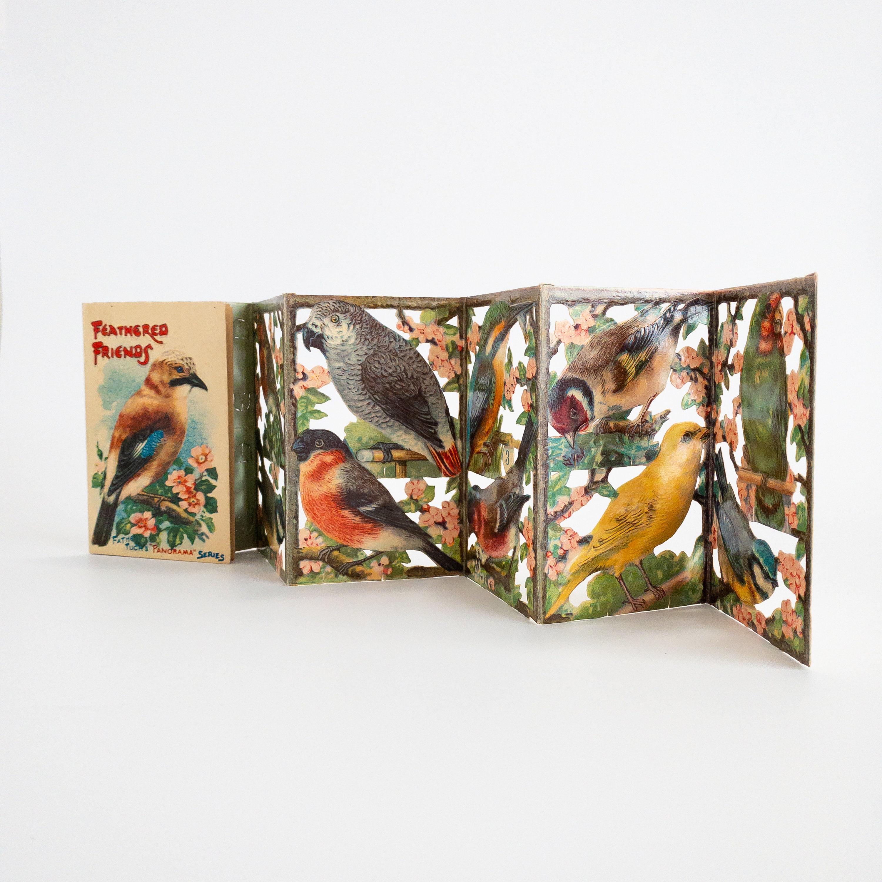 Rare Antique feathered Friends Bird Ephemera Book From father Tuck's ...