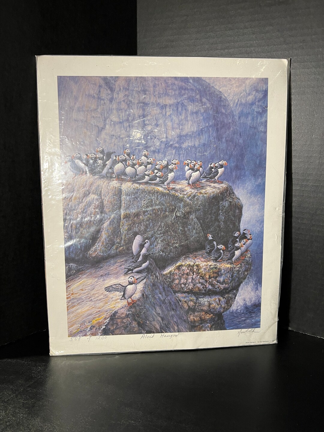 Artist Signed Print Alcid Hangout by Ed Newbold 1987 508/1200 Northwest ...