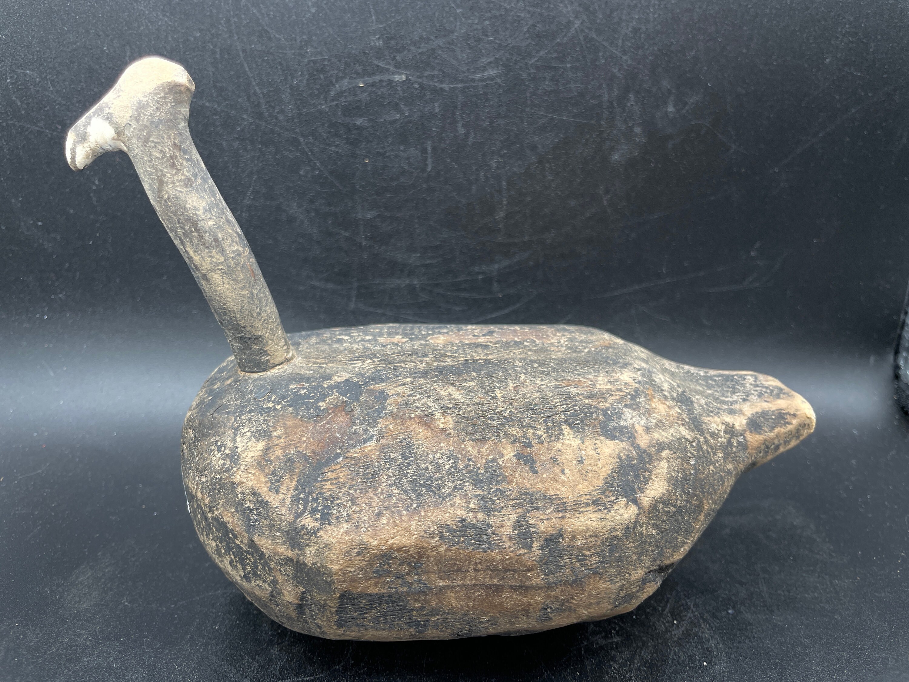 Antique Root Head Coot Duck Decoy Primitive Folk Art Early - Etsy