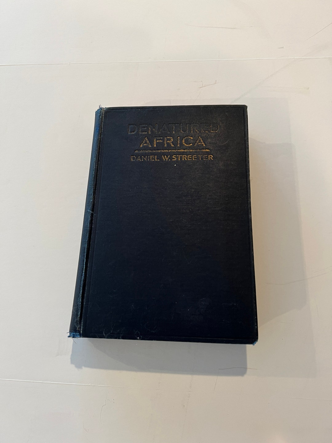 Denatured Africa Daniel W. Streeter GP Putnam's Sons the Knickerbocker ...